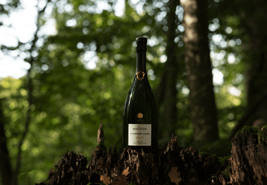 The Grand Canopy | Champagne Bollinger