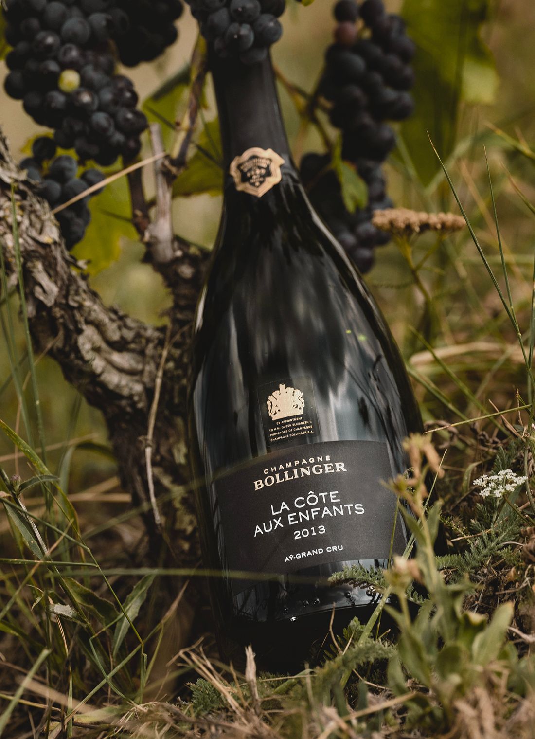La Côte aux Enfants Champagne 2013 | Champagne Bollinger