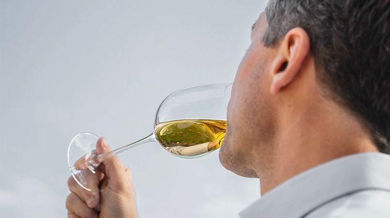 PN VZ19 - Delicate and complex | Champagne Bollinger