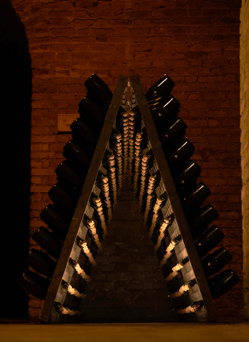 The Grand Canopy | Champagne Bollinger