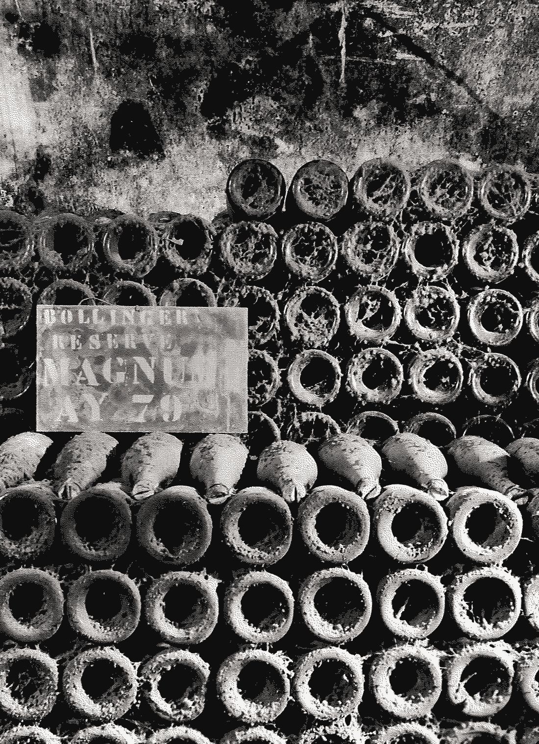 La Maison Bollinger | Champagne Bollinger