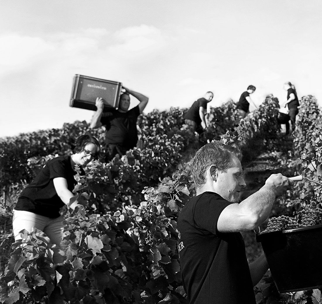 The Bollinger House | Champagne Bollinger