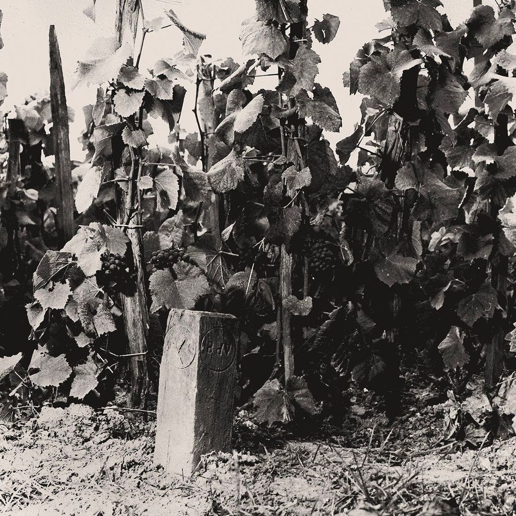 The history of Georges Bollinger | Champagne Bollinger