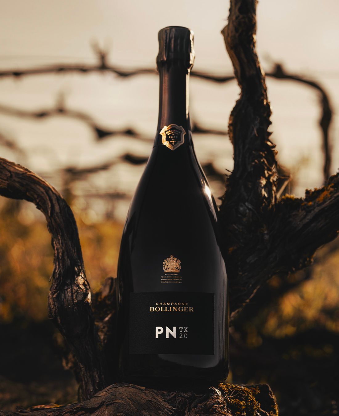 PN TX20 – elegance and complexity | Champagne Bollinger